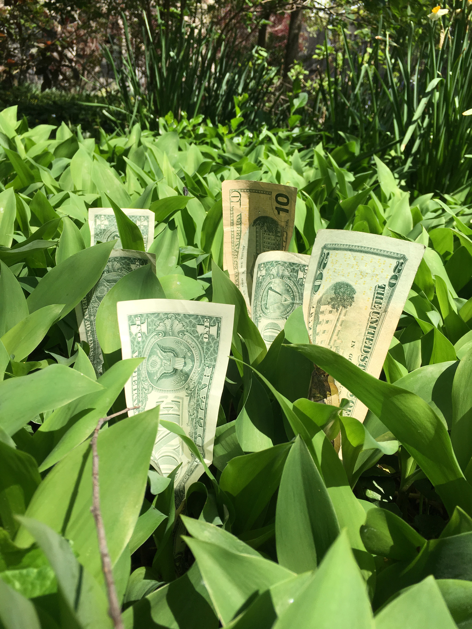 SEEDING: 'SEED MONEY' Panel Discussion | Museum of Arts and Design