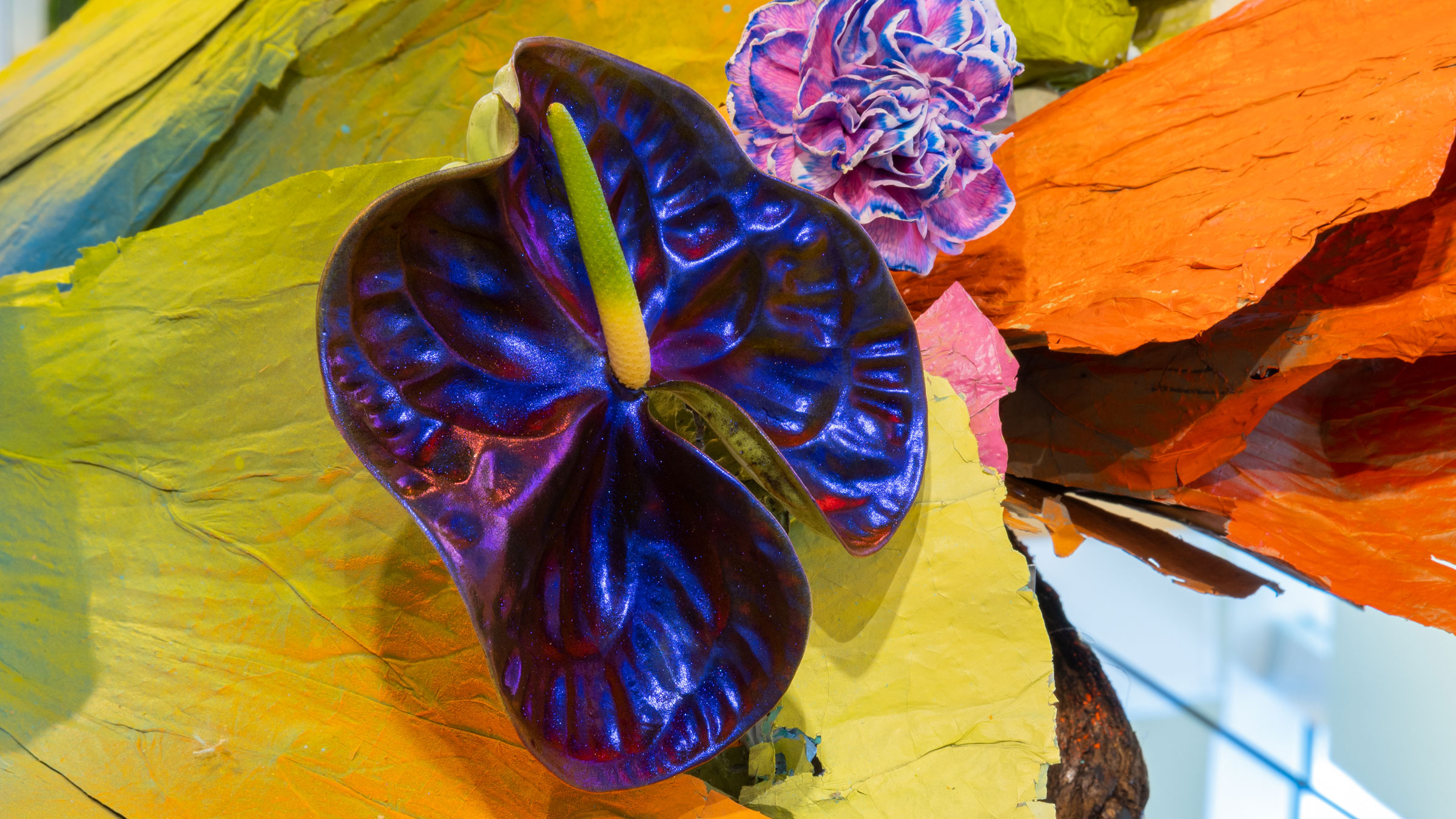 Art Alive | Museum of Arts and Design