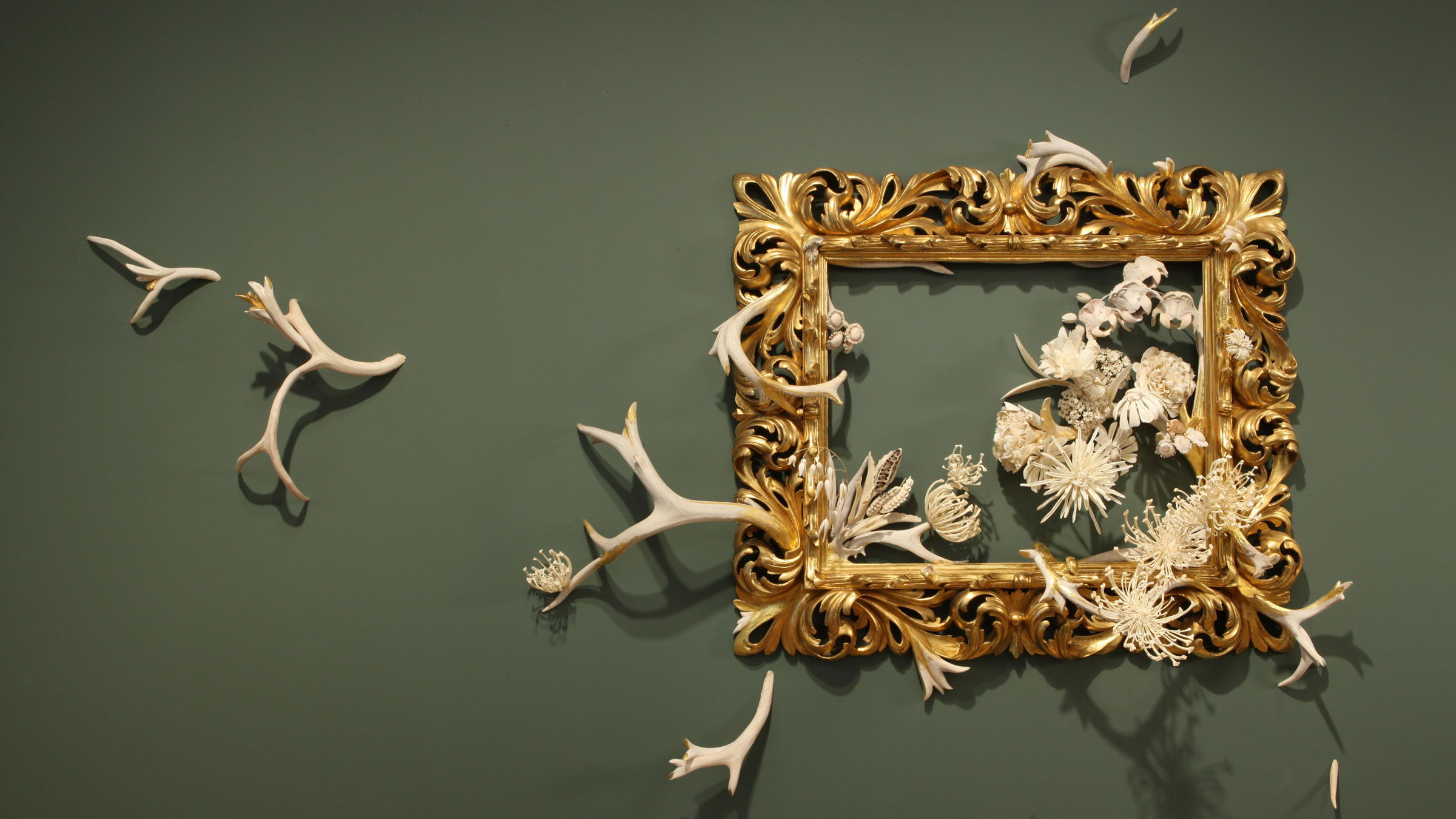 Dead or Alive | Museum of Arts and Design