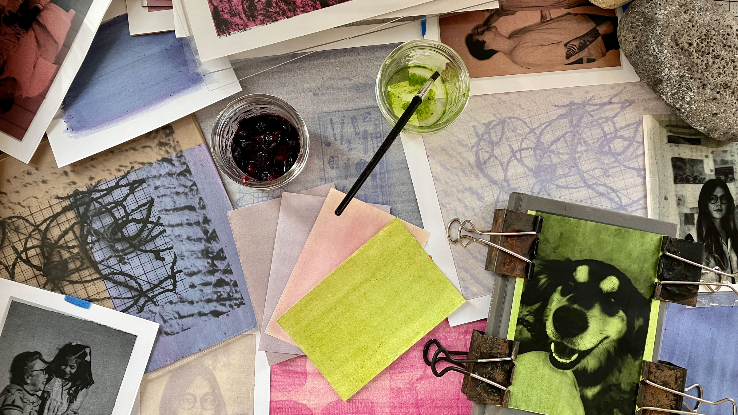 Family Studio: Printing with Plants | Museum of Arts and Design