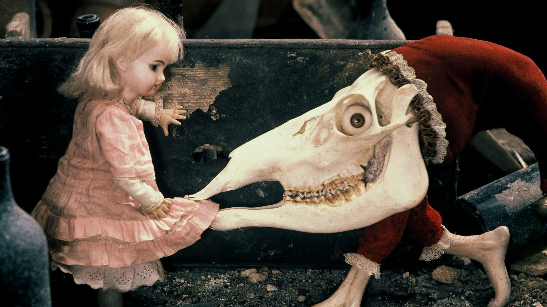 Alice | Museum of Arts and Design