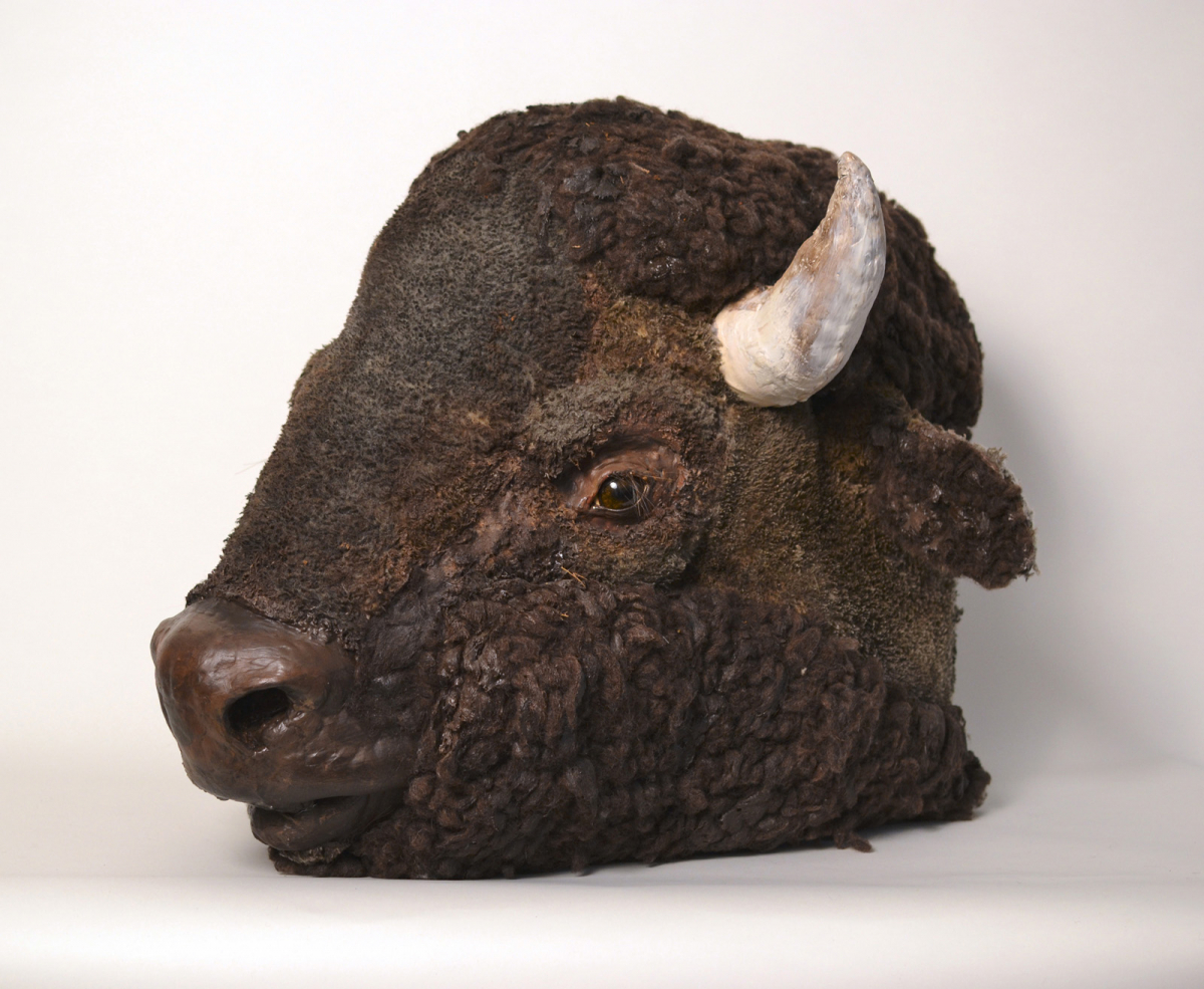 Rachel Frank | Museum of Arts and Design